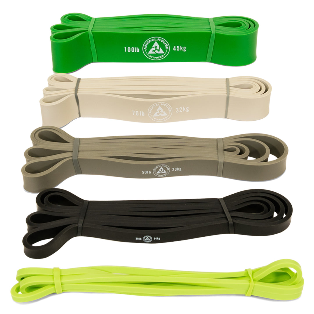 Buffalo Bands – Animalhouse Fitness