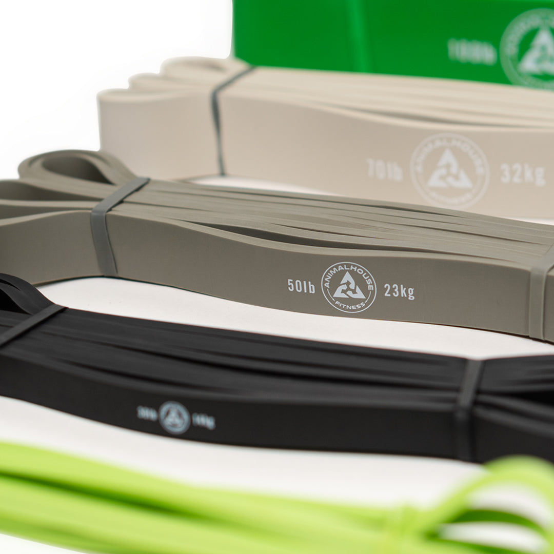 Buffalo Bands – Animalhouse Fitness