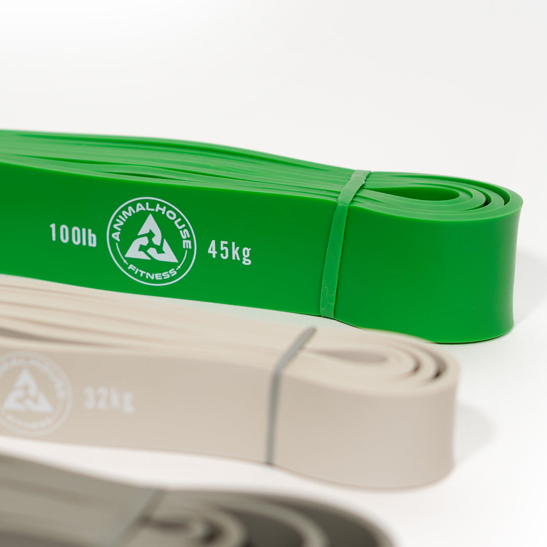 Buffalo Bands – Animalhouse Fitness