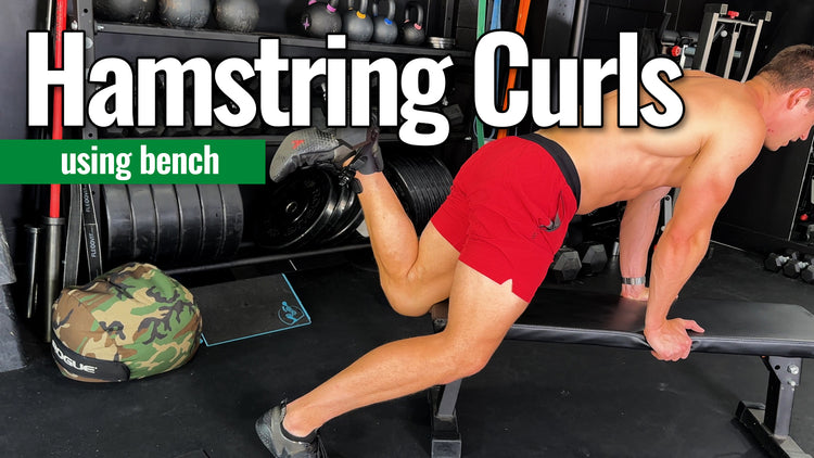How To - Hamstring Curl (Using Bench) – Animalhouse Fitness