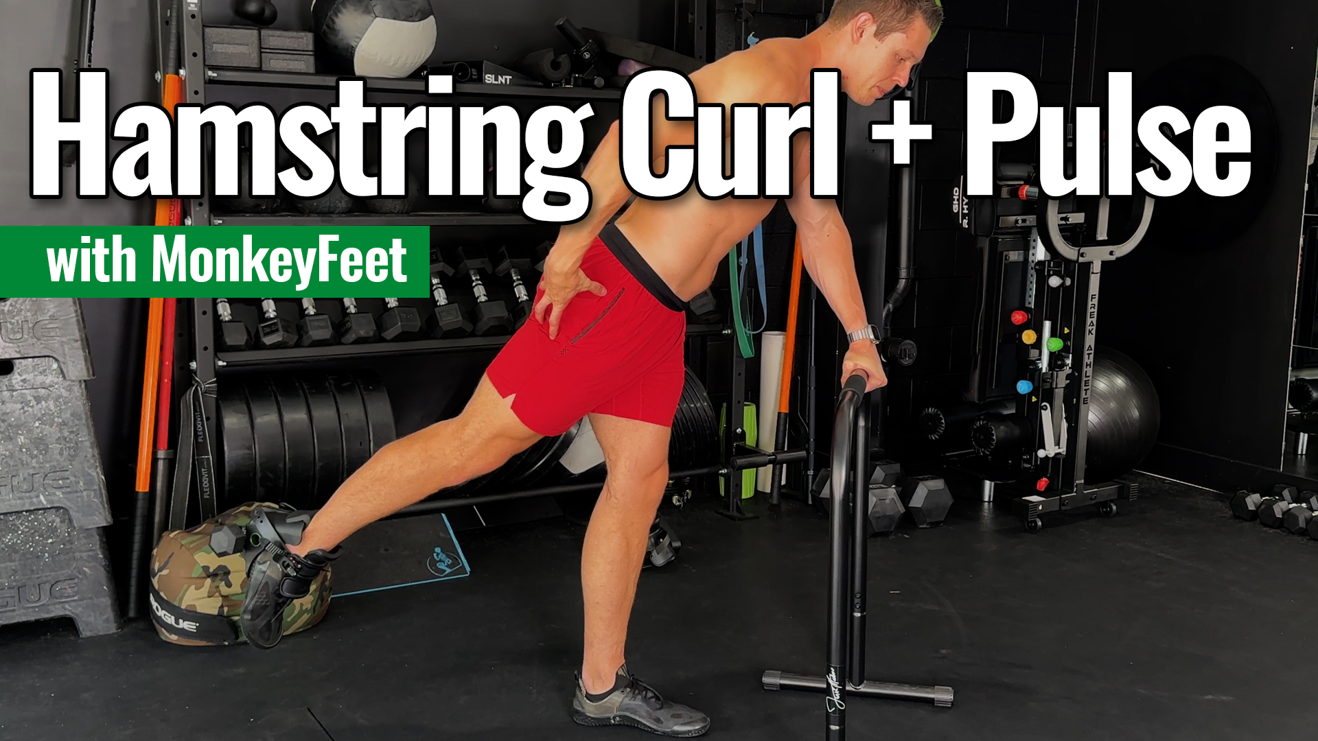 How To - Hamstring Static Hold – Animalhouse Fitness