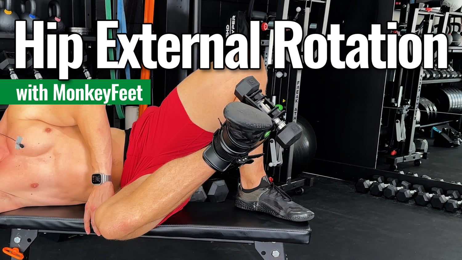 How To - Hip External Rotation – Animalhouse Fitness