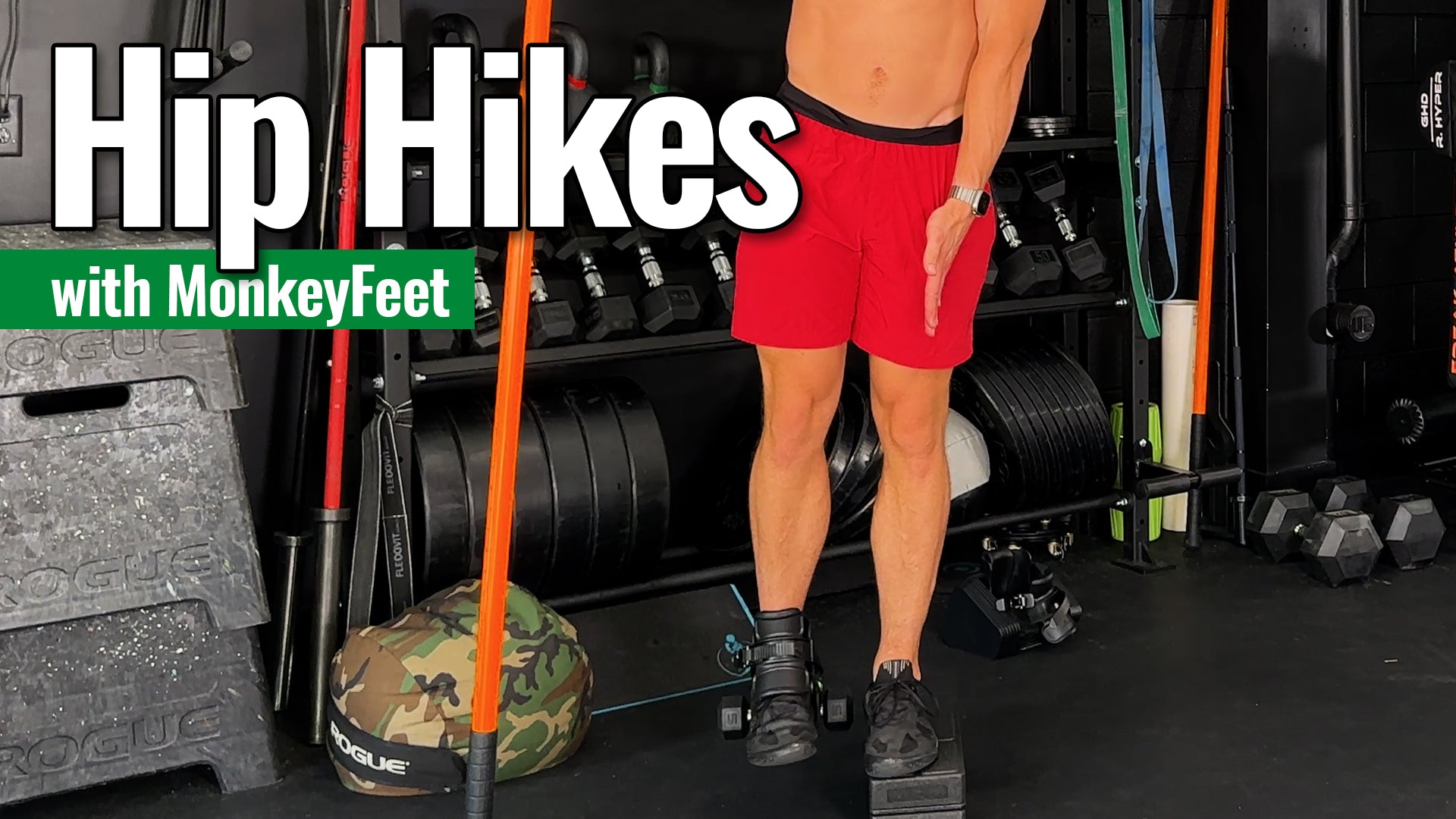 How To - Hip Hikes – Animalhouse Fitness