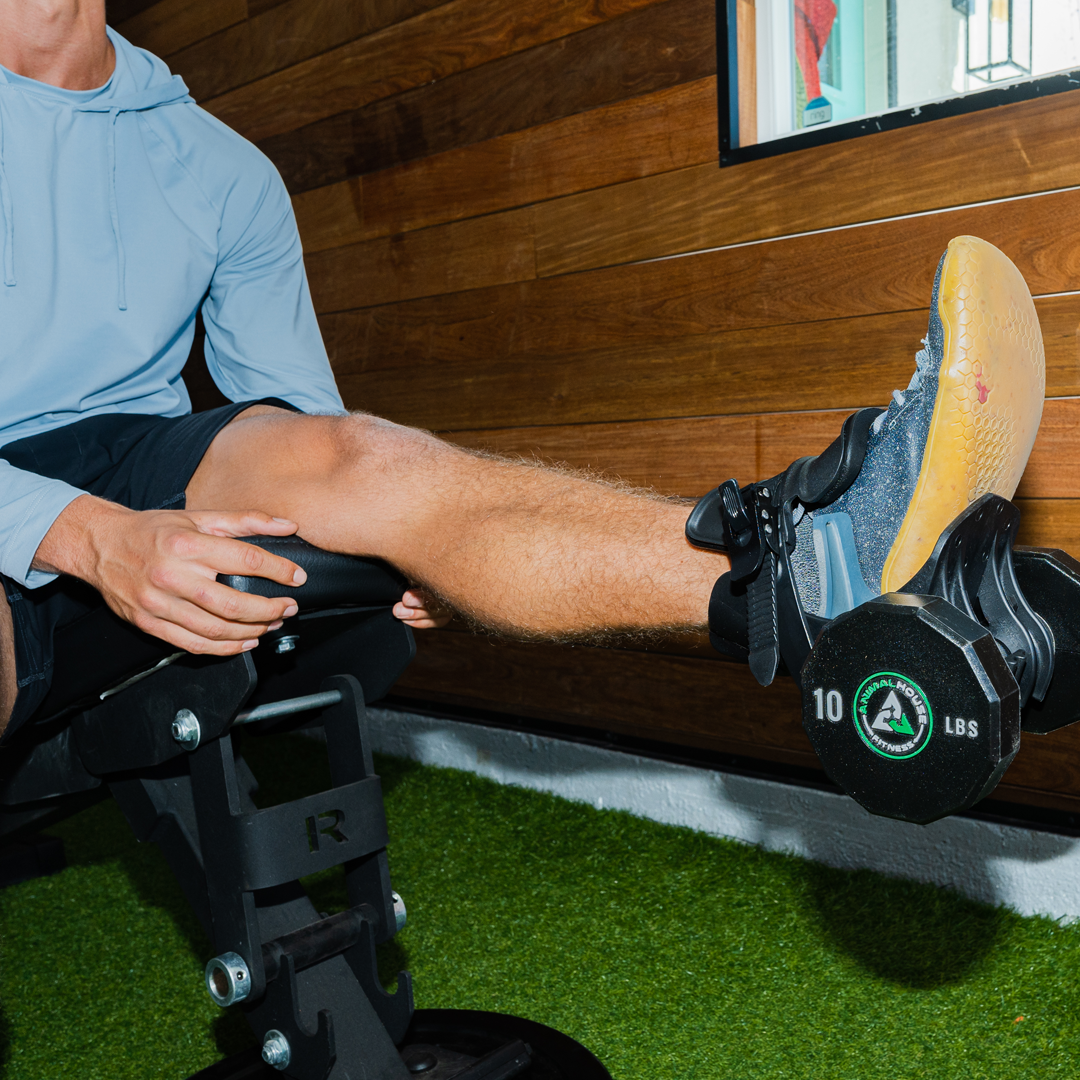 Jumpstart Bundle – Animalhouse Fitness