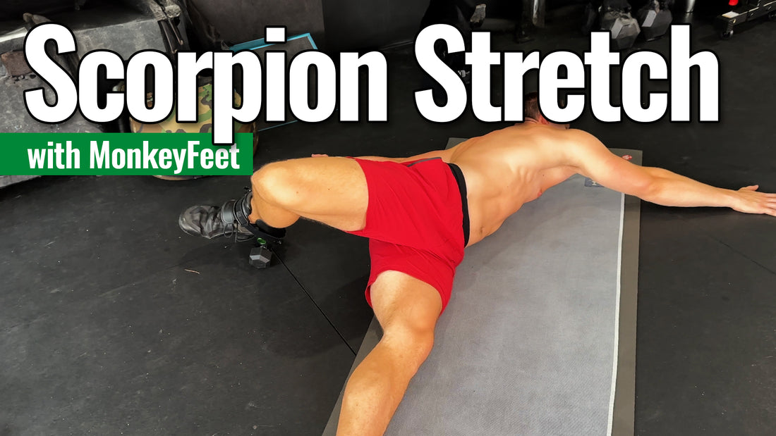 How To - Scorpion Stretch – Animalhouse Fitness