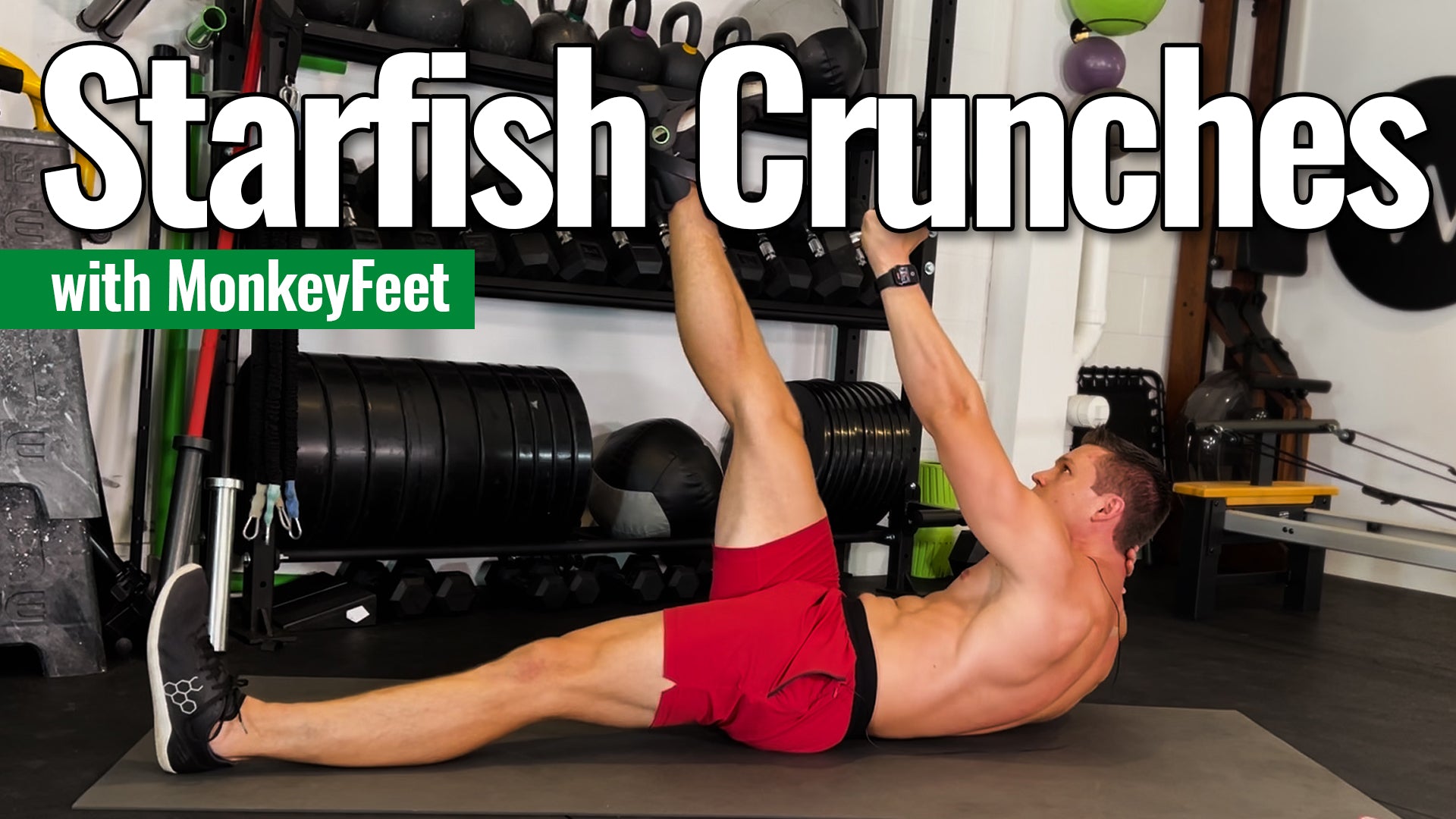 How To - Starfish Holds – Animalhouse Fitness