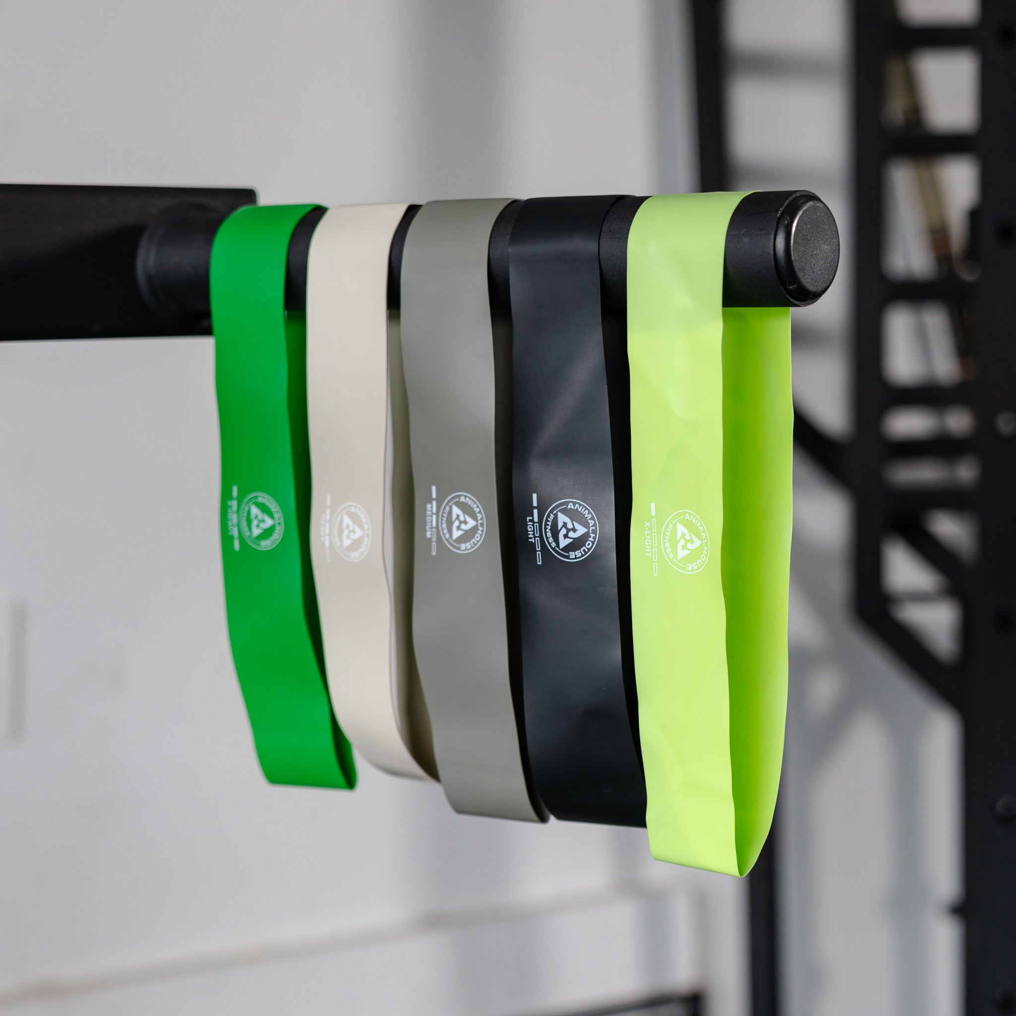 Lion Loops – Animalhouse Fitness